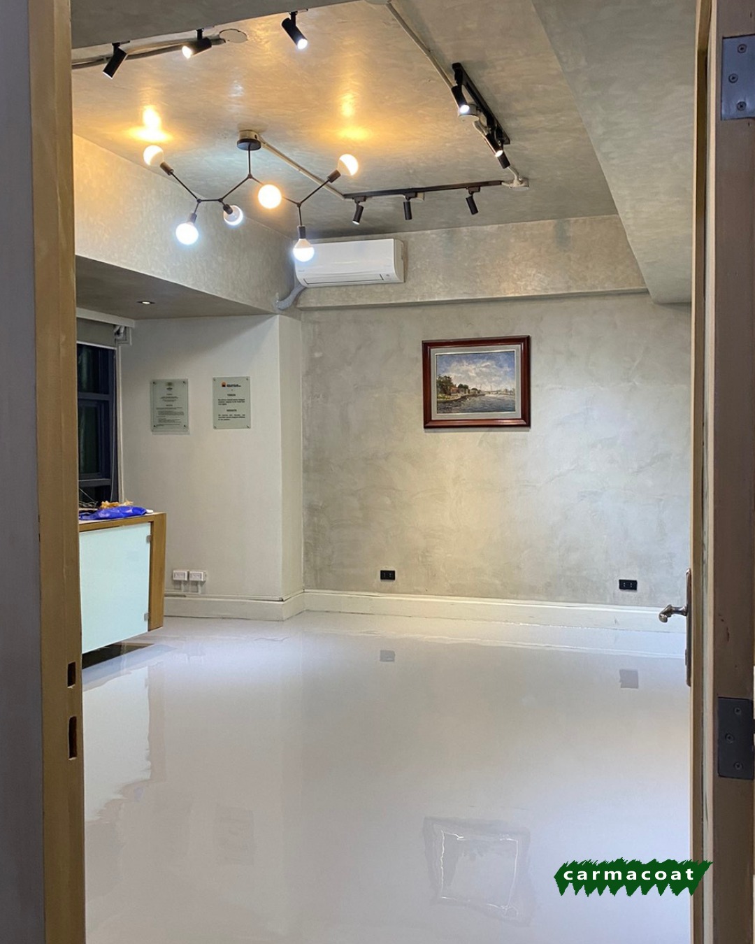 Projects | Carmacoat