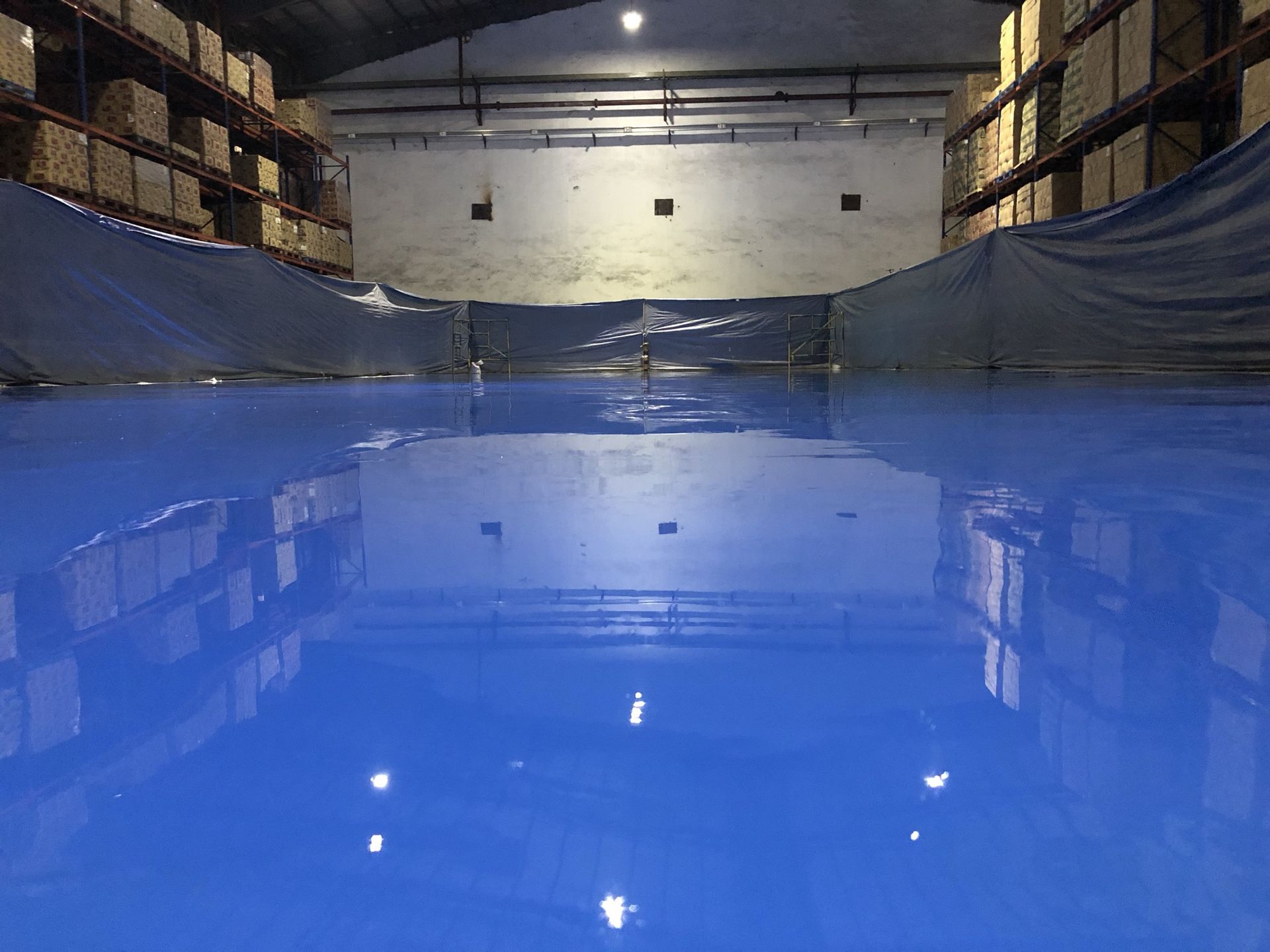 OUR PROJECT | carmacoat